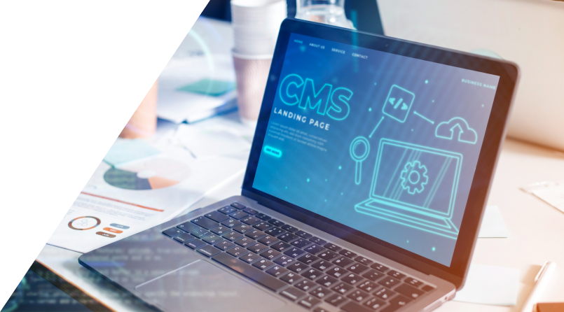 Custom CMS Development Services | CMS Solutions