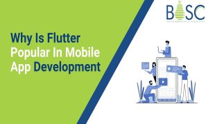 Top 9 Reasons To Choose Flutter As Mobile App Development | Bosc Tech Labs