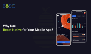 Maximize React Native for Mobile App Development